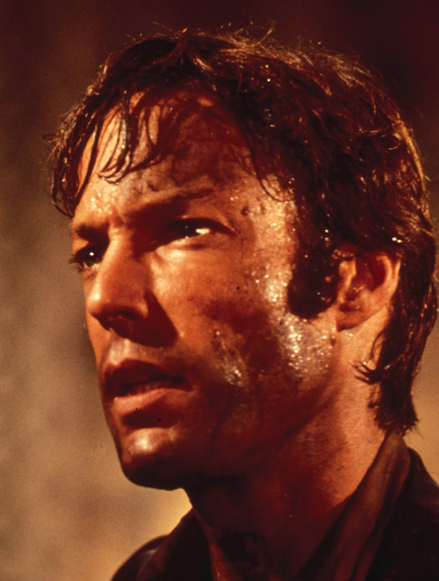 Morto Richard Chamberlain, i ruoli più celebri, da Uccelli di rovo a I ...