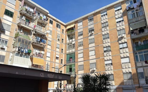 Acerra, bambina di 9 mesi morta sbranata da pitbull in casa | Sky TG24