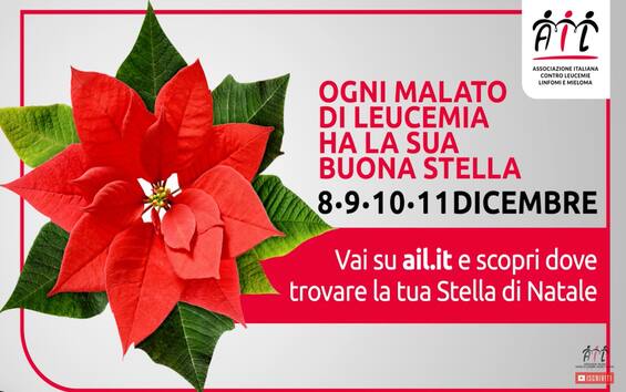 Tornano nelle piazze le Stelle di Natale Ail: dove e quando trovarle ...