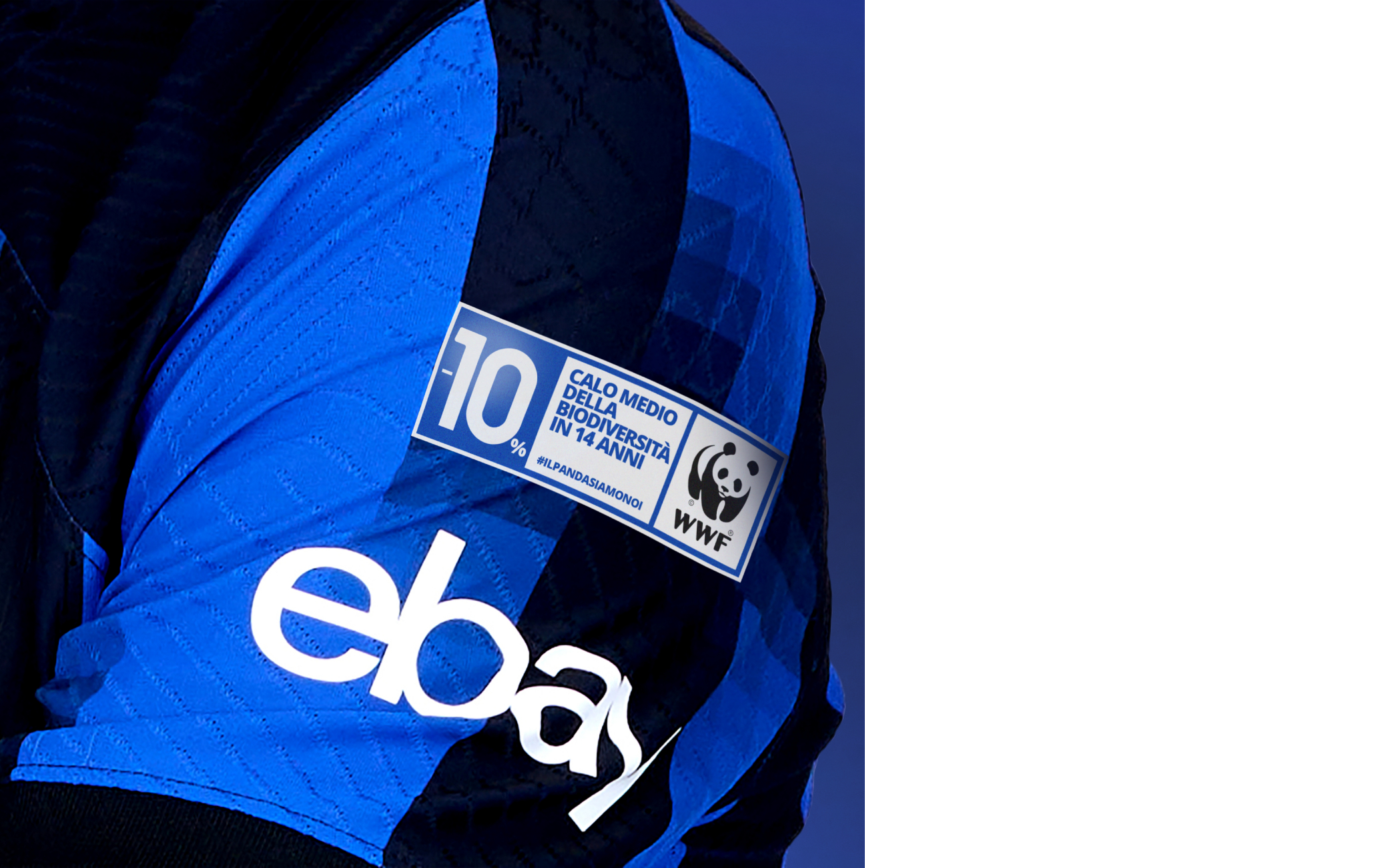 Inter, la nuova maglia 2024 per il WWF: sarà indossata nel derby contro ...