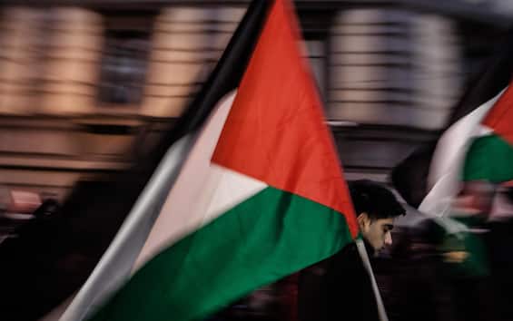 Media Svezia: bandiere della Palestina vietate all'Eurovision | Sky TG24