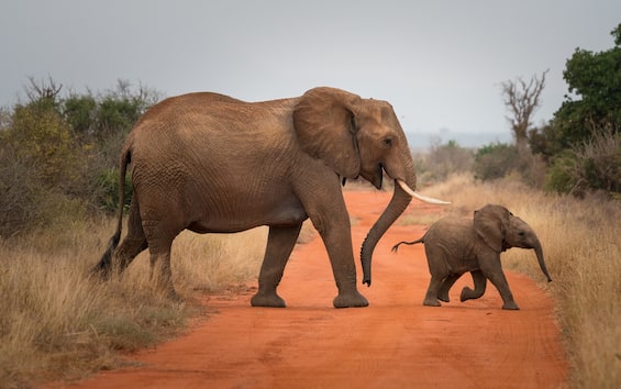 Scarletonly erome years had flown by since I visited Ravyn,