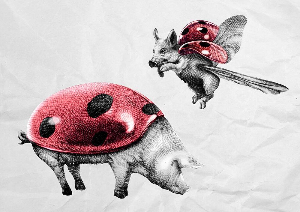 L'Arca di Cioè: gli animali "ibridi" di Federico Tomoz Bandini | Sky Arte