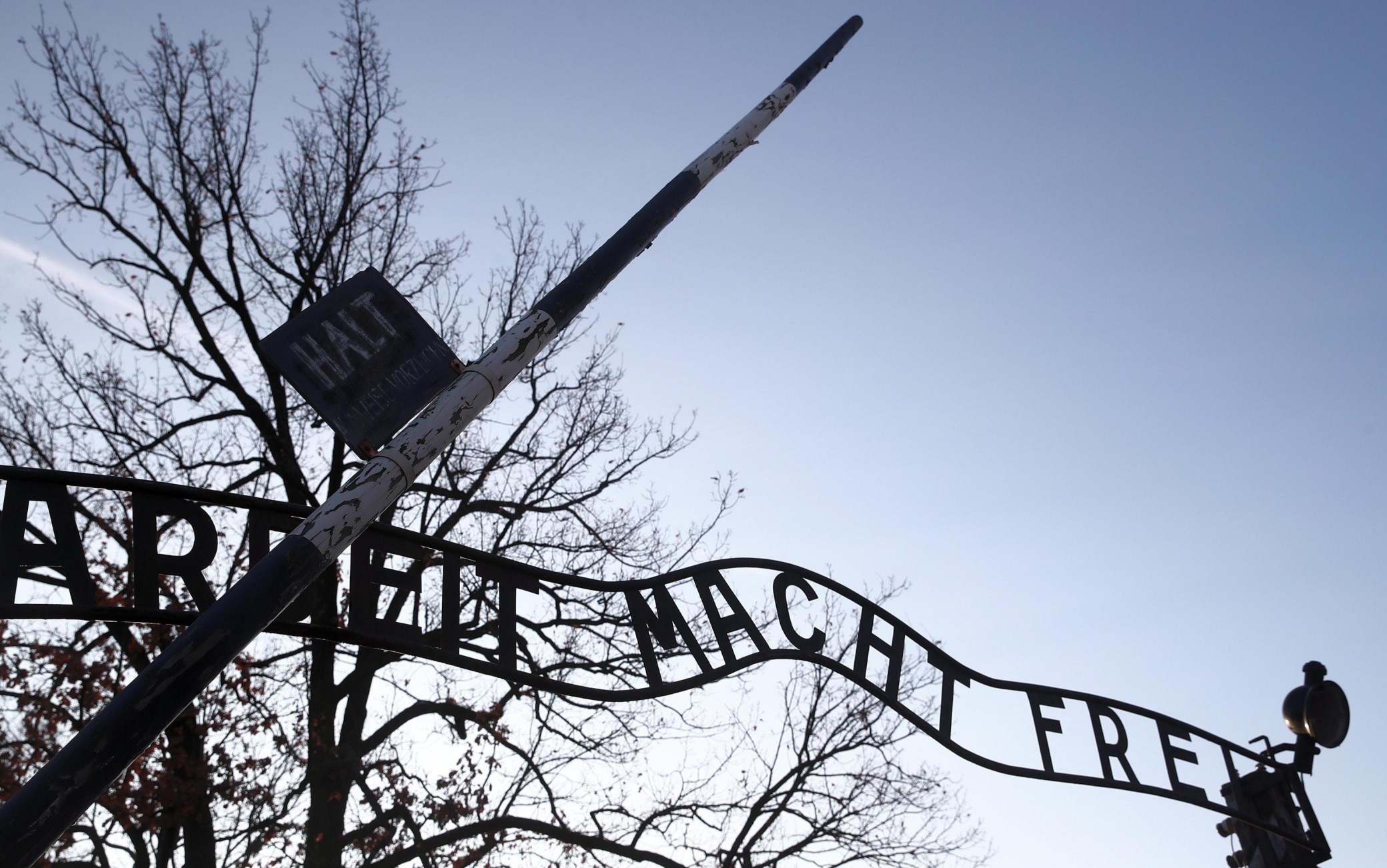 Giornata Memoria, storie sopravvissuti alla Shoah ancora in vita, da ...