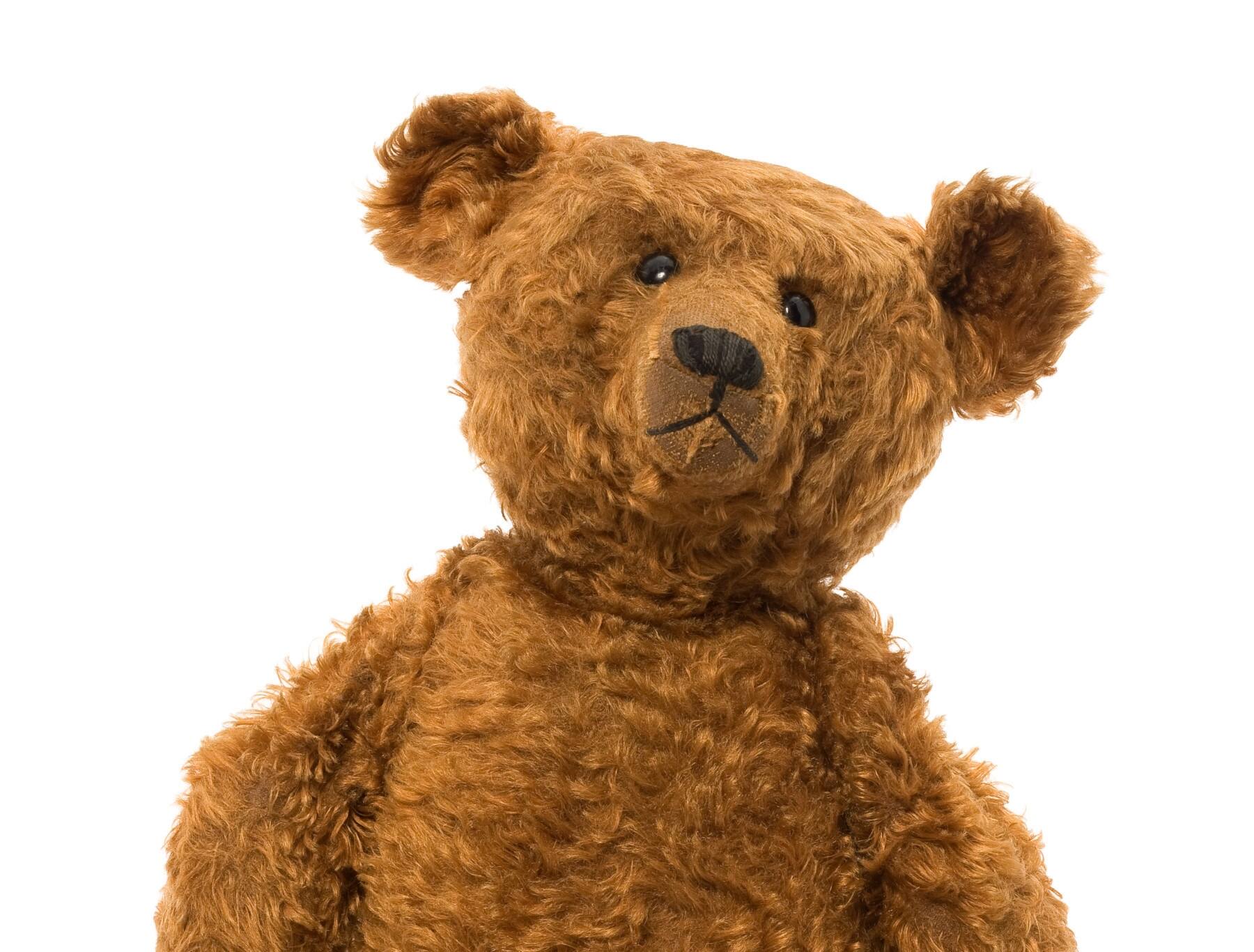 A Parigi ha aperto la più grande mostra sugli orsetti di peluche | Sky Arte