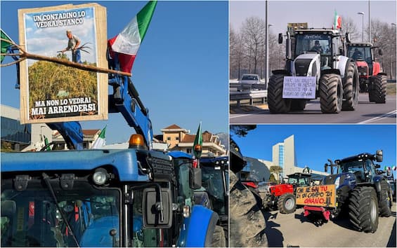 Protesta agricoltori, cortei di trattori in tutta Italia | Sky TG24