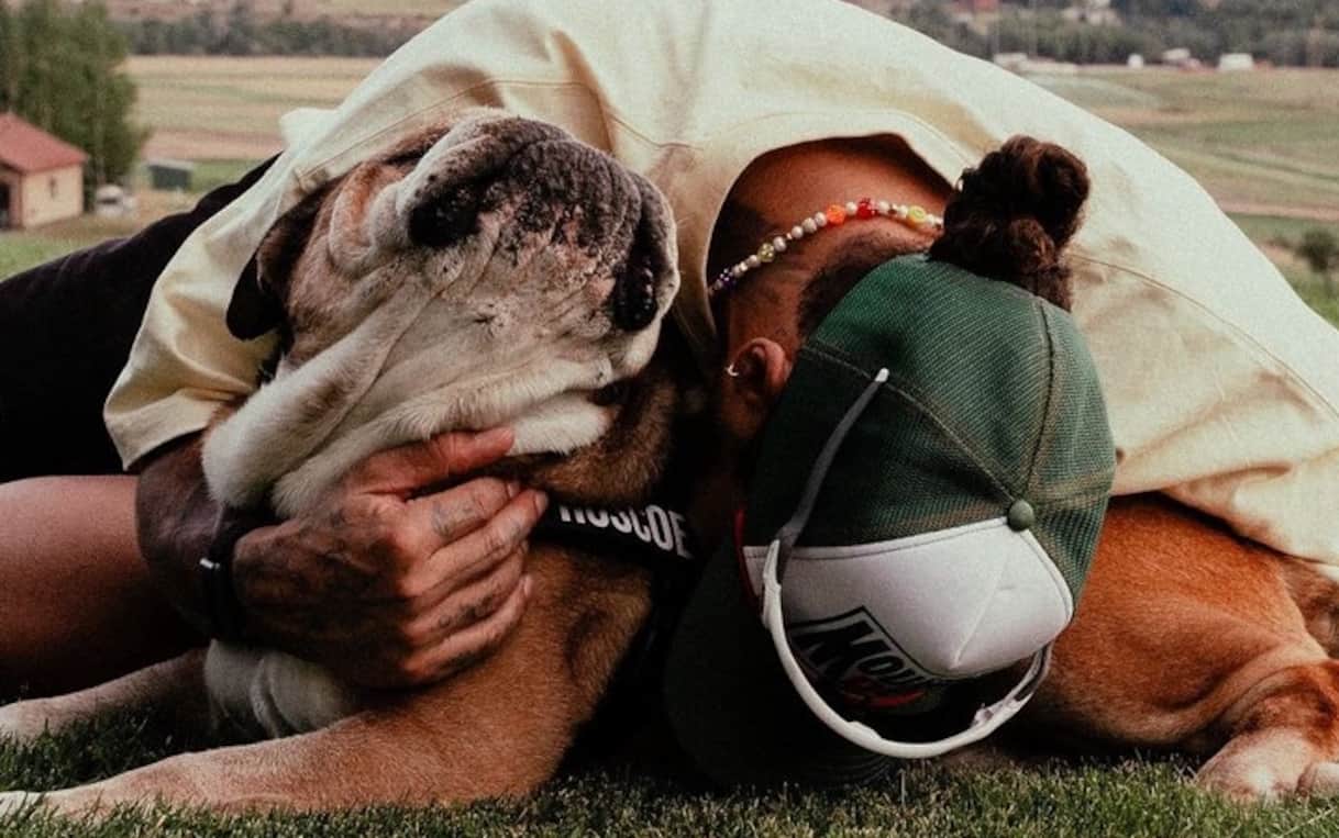 Hamilton, morto cane Roscoe: 'Accoglierlo nella mia vita è stata ...