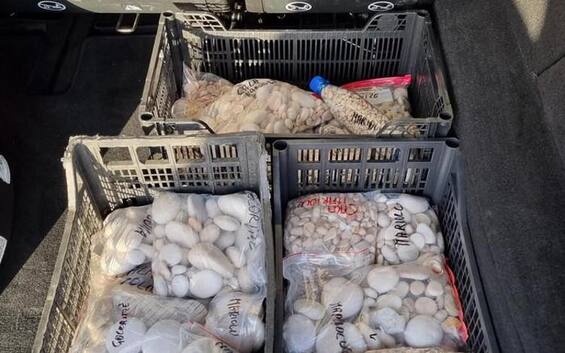 Spiagge sarde depredate, 100 kg ciottoli tornano in Ogliastra | Sky TG24