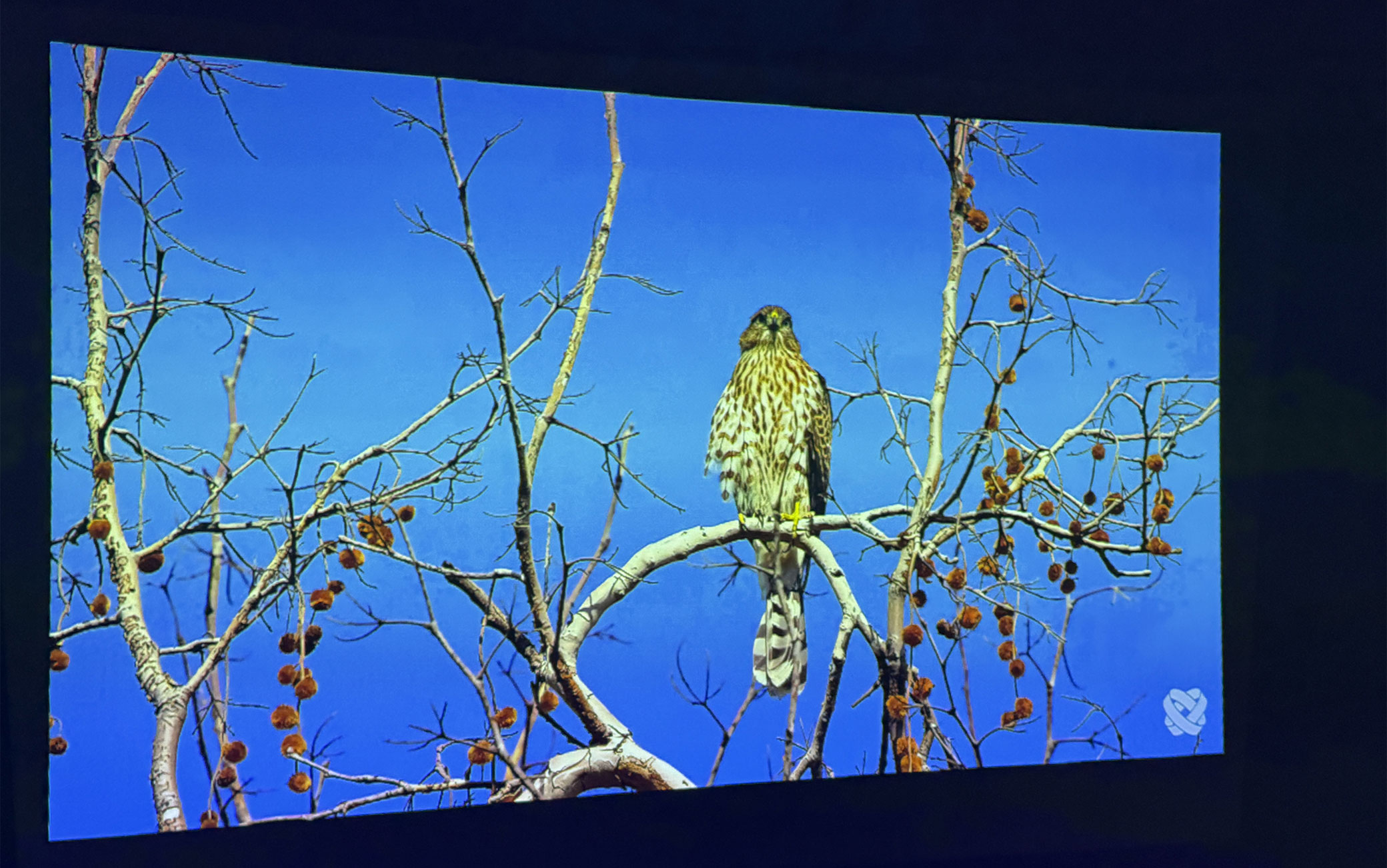 XGIMI MoGo 3 Pro: recensione, caratteristiche, prezzi, accessori | Sky TG24