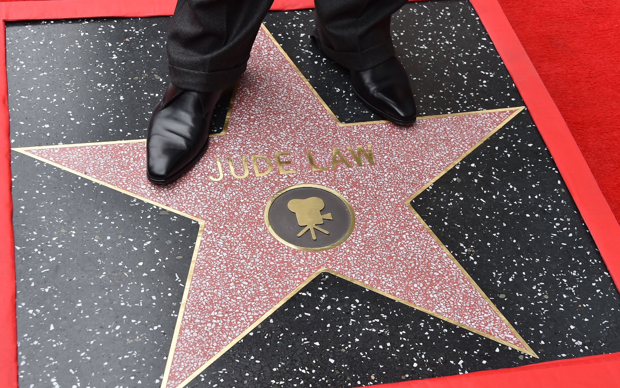 Jude Law ha ricevuto la stella sulla Walk of Fame. FOTO | Sky TG24