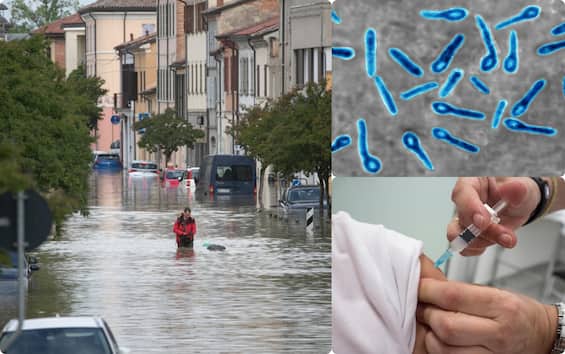 Tetano, sintomi e come si cura: vaccino e prevenzione malattia | Sky TG24