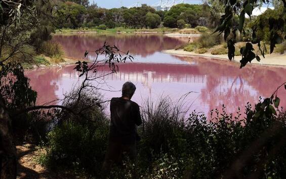 Australia, il lago di Westgate Park cambia colore e diventa rosa. FOTO ...