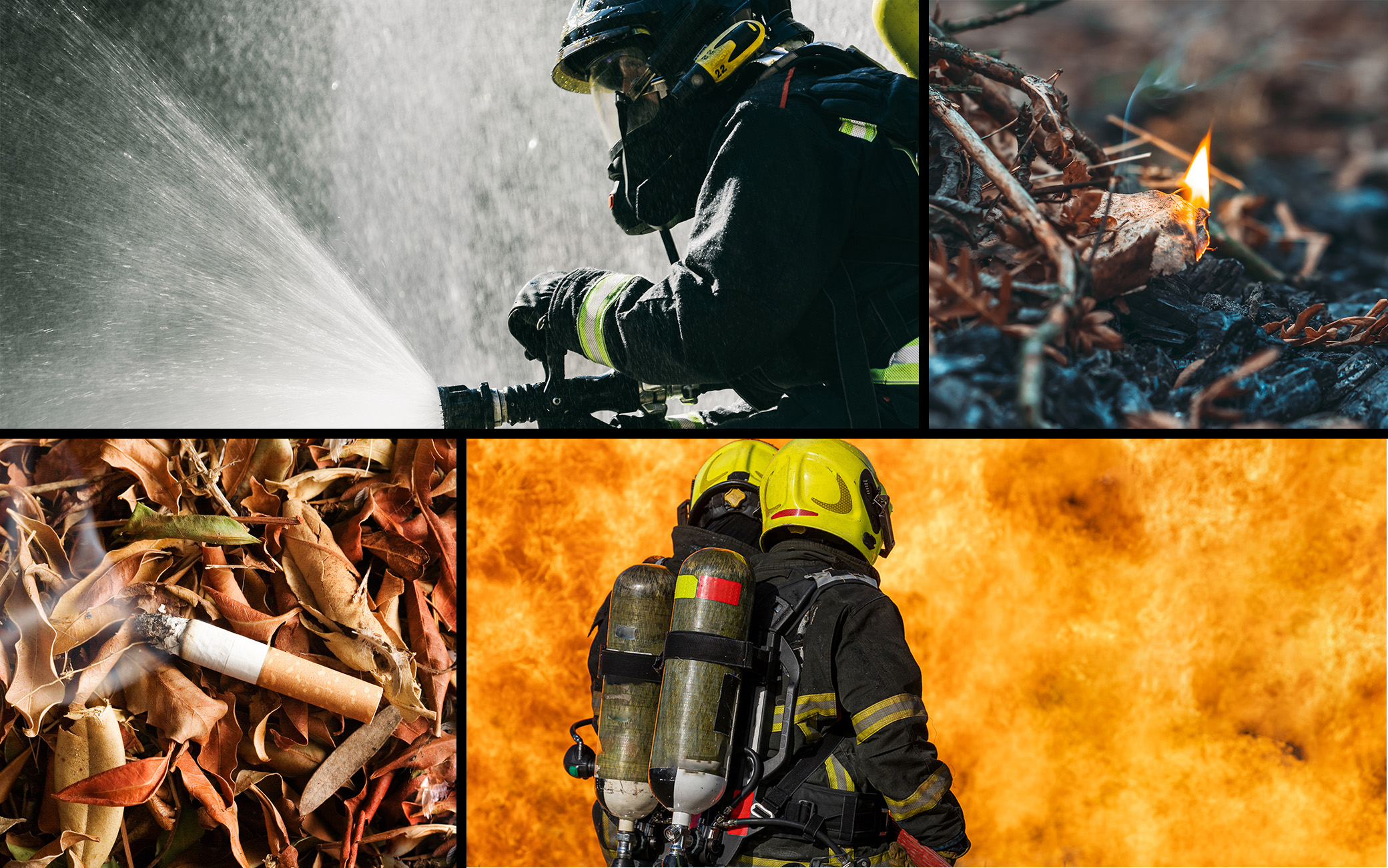 Incendi in Italia, in fiamme oltre 59mila ettari nel 2023 | Sky TG24