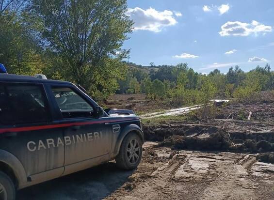 Trovato corpo mummificato in un campo nel Bergamasco | Sky TG24