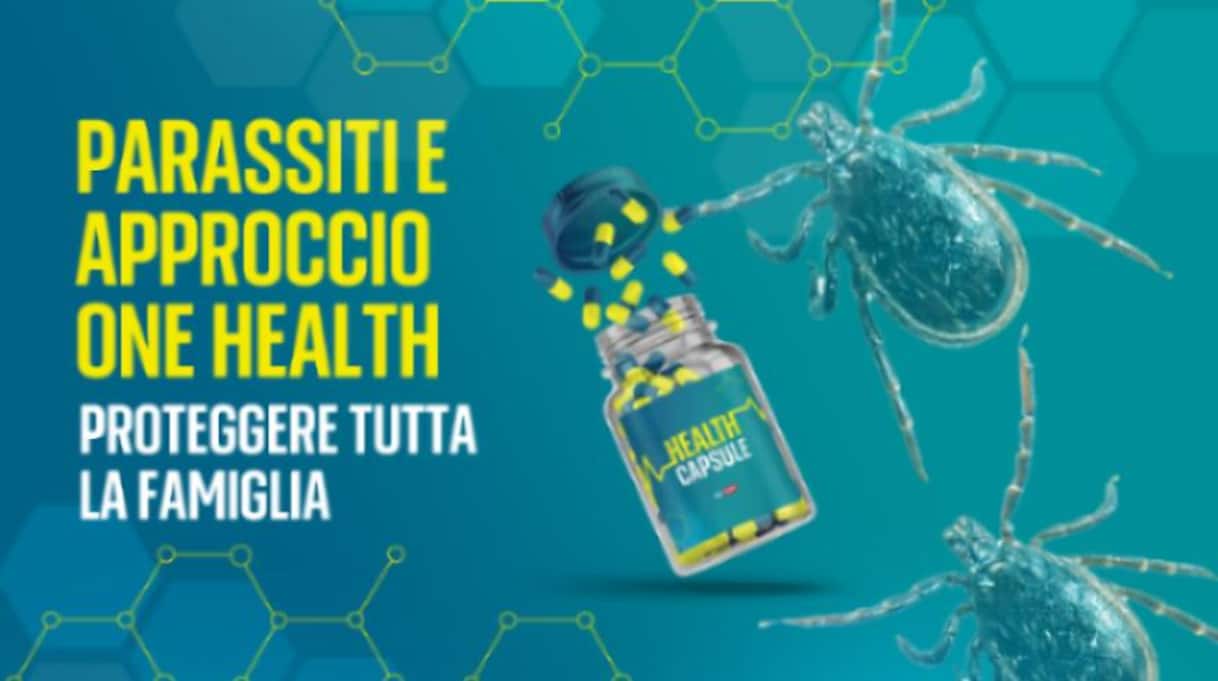 Approccio One Health, proteggere tutta la famiglia | Video Sky TG24