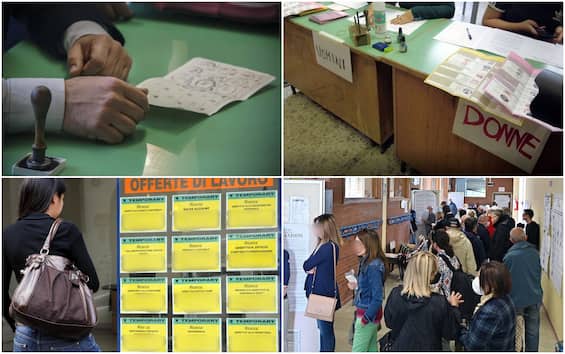 Risultati elezioni 2022, dai giovani alle donne: l'analisi del voto ...