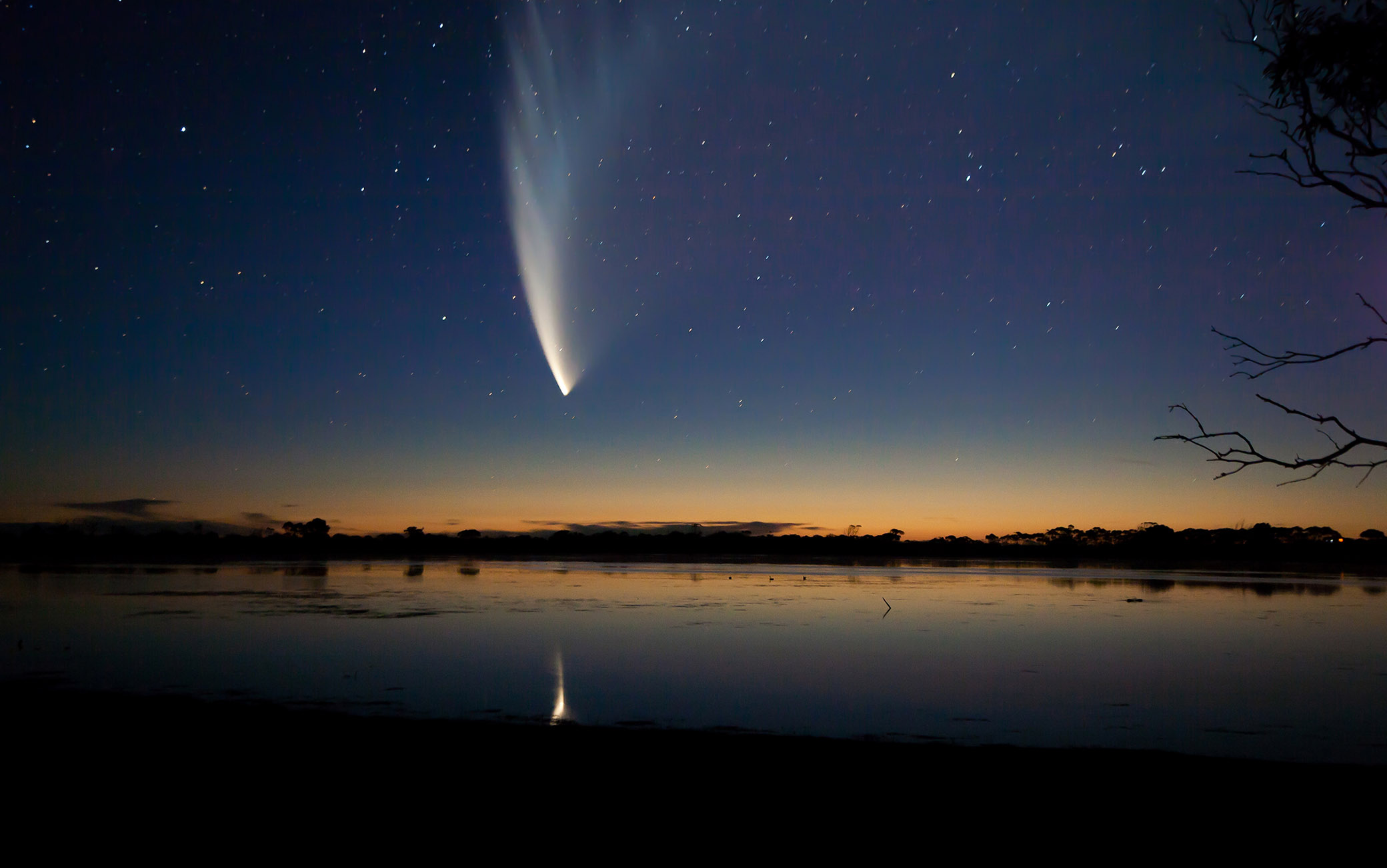 Notte di San Lorenzo: la magia delle stelle cadenti. FOTO | Sky TG24