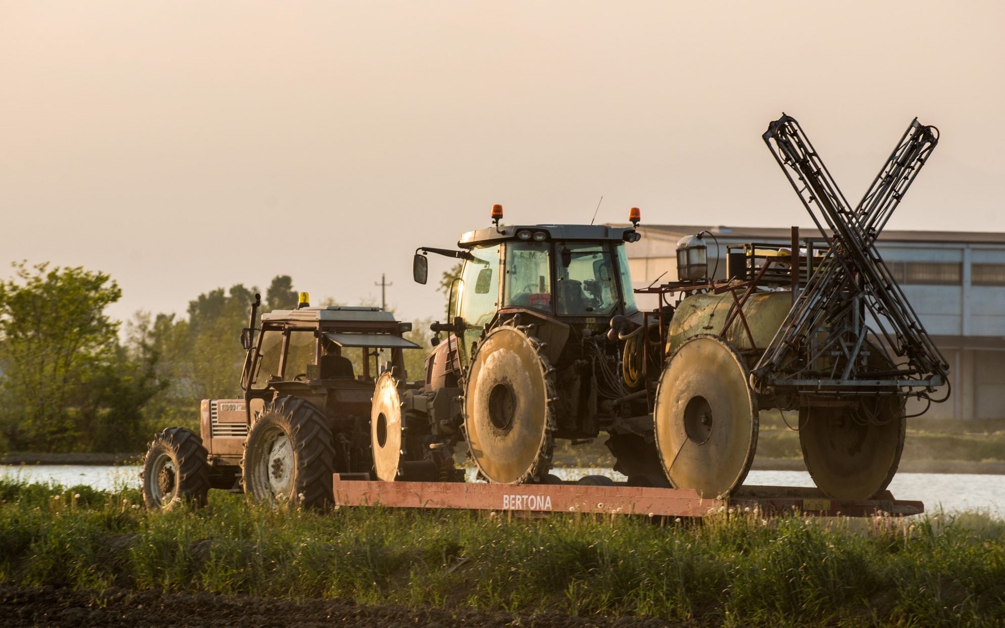 Piano Mattei, con Algeria accordo su agricoltura rigenerativa. Che cos ...