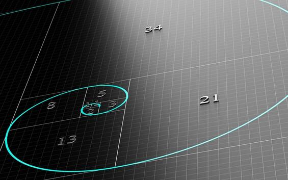 Il 23 novembre è il Fibonacci Day: cos'è la sequenza e qual è la ...