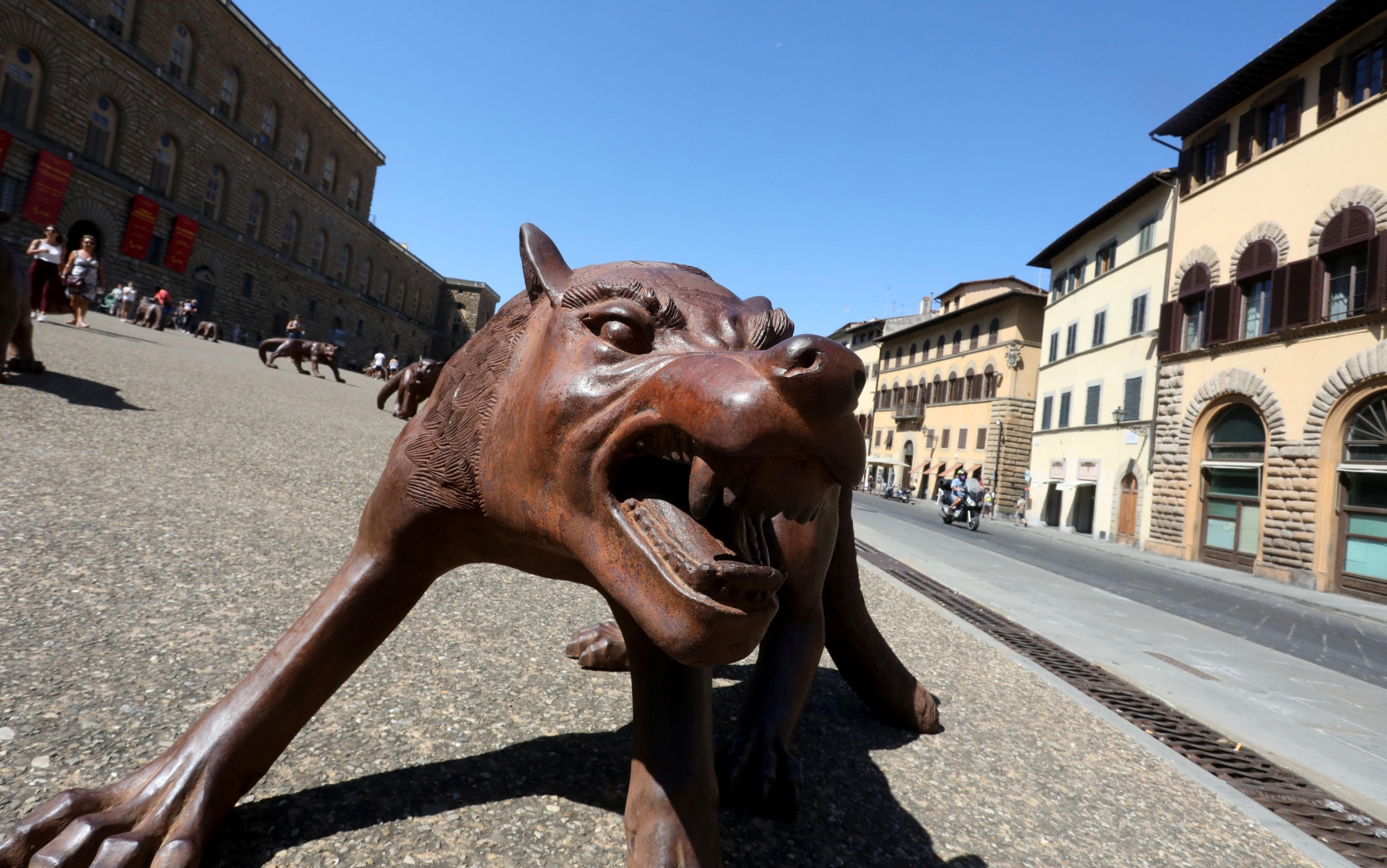 Lupi di Liu Ruowang in mostra nelle piazze di Firenze. FOTO