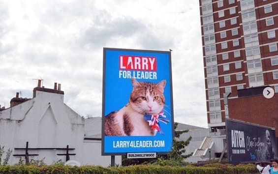 Larry the cat, il gatto di Downing Street candiato premier in Uk | Sky TG24