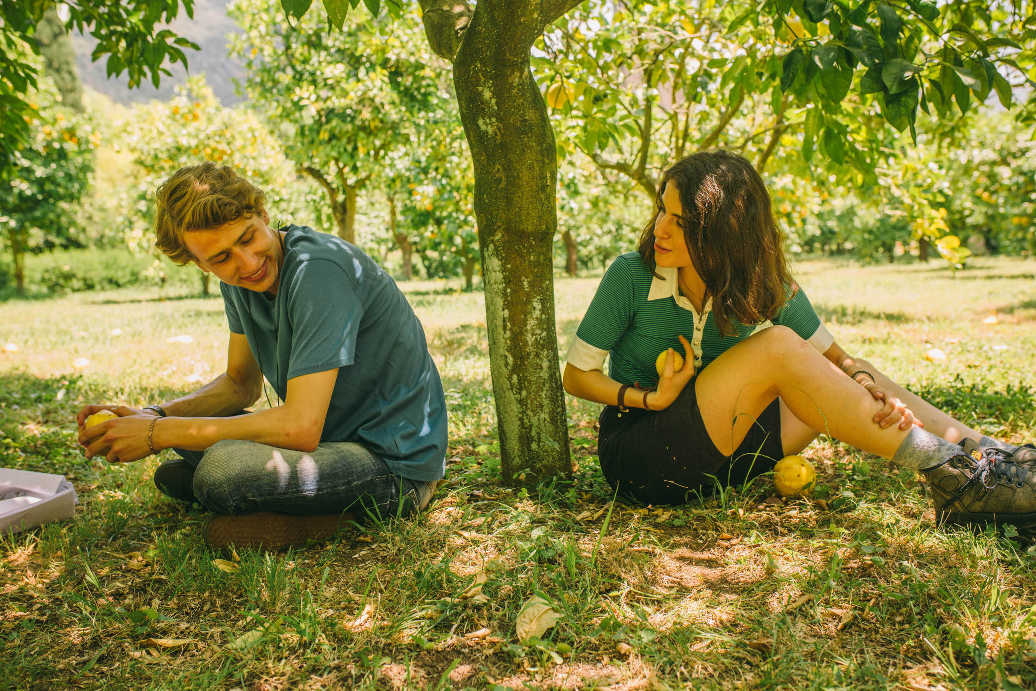 Che Todd ci aiuti, trama e cast della serie TV comedy da stasera in TV