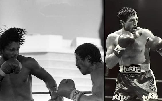 Boxe, è morto a Pesaro il pugile Luigi Minchillo: chi era. FOTO | Sky TG24