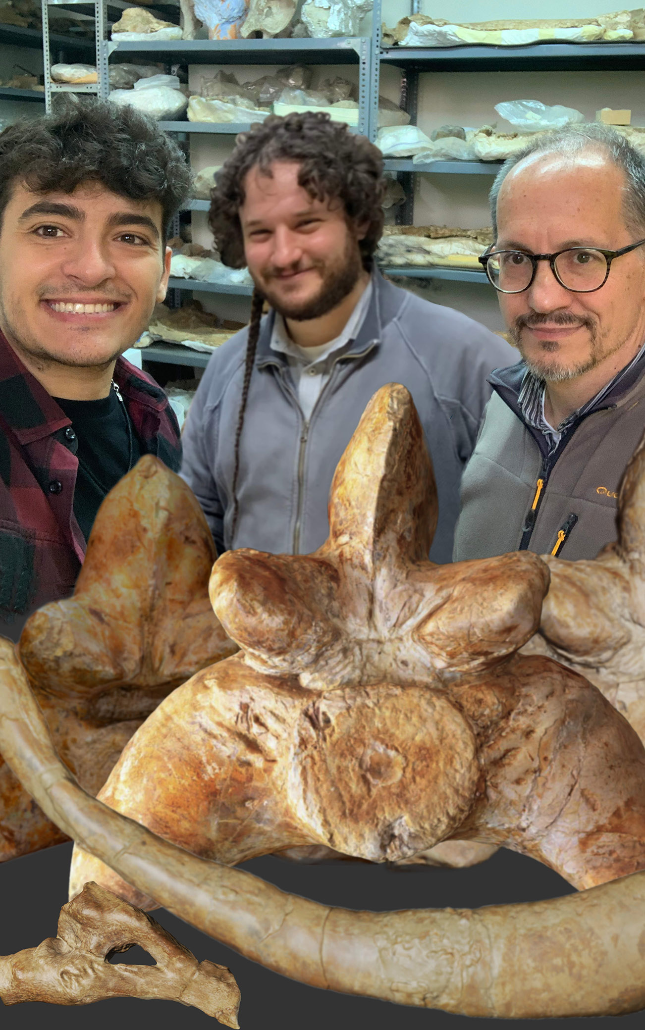 Perucetus colossus, animale più pesante mai esistito scoperto in Perù ...