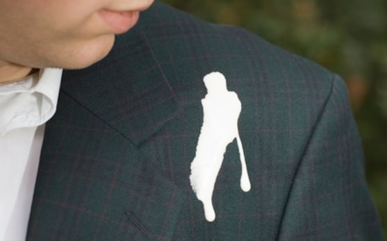 Australia, uccello fa la cacca in testa a interprete del linguaggio dei ...