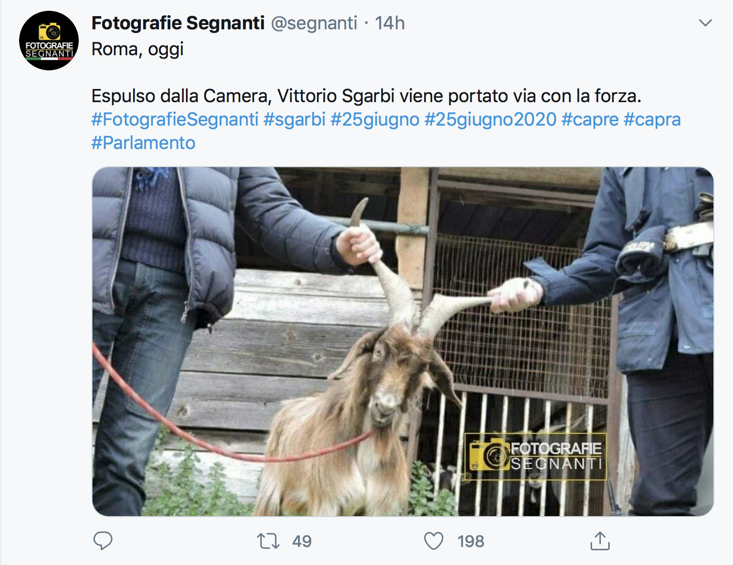 Parlamento, Sgarbi cacciato dall'Aula: i meme più belli sui social. FOTO