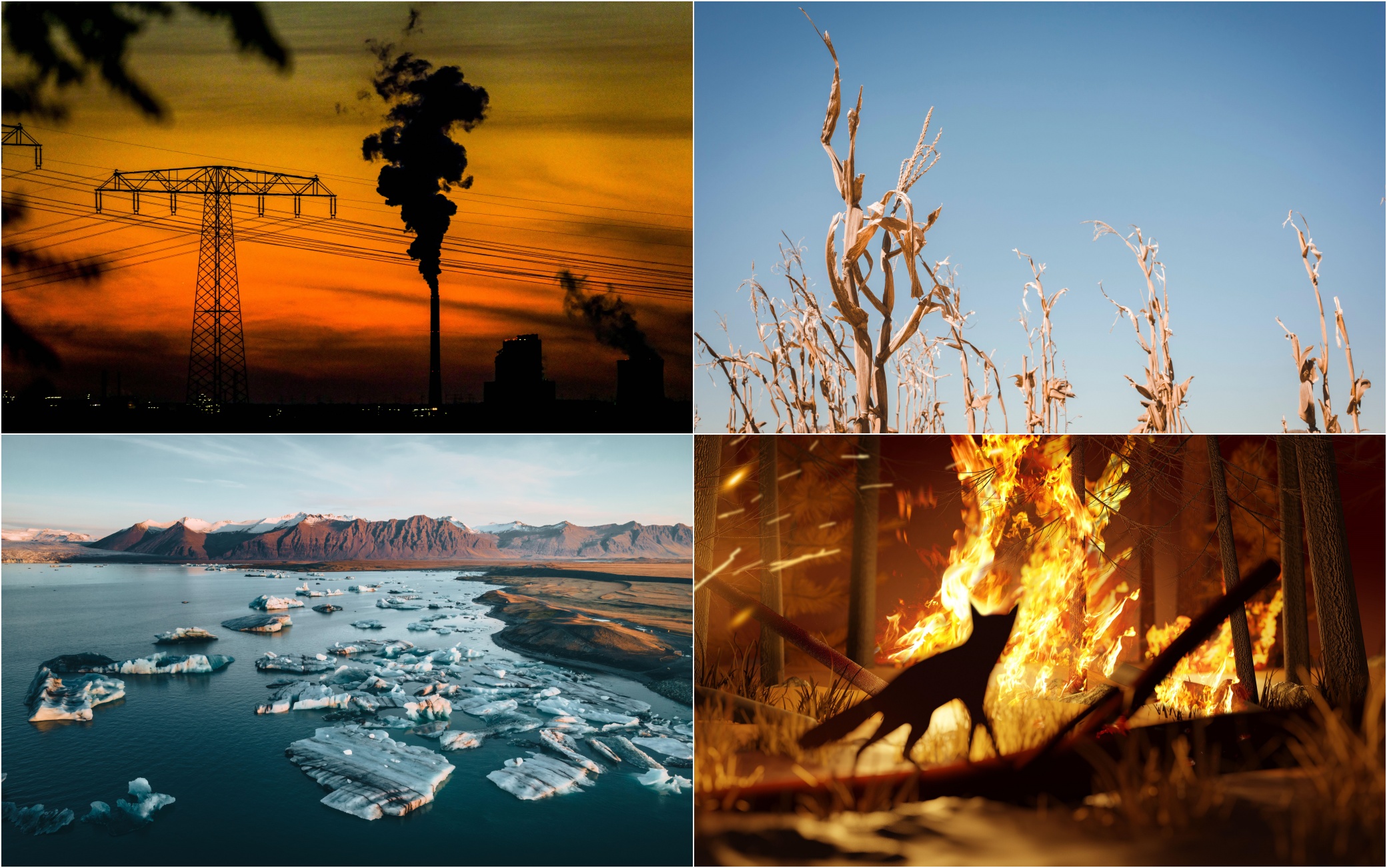 Cambiamento climatico, 10 cose che tutti possiamo fare ogni giorno per ...