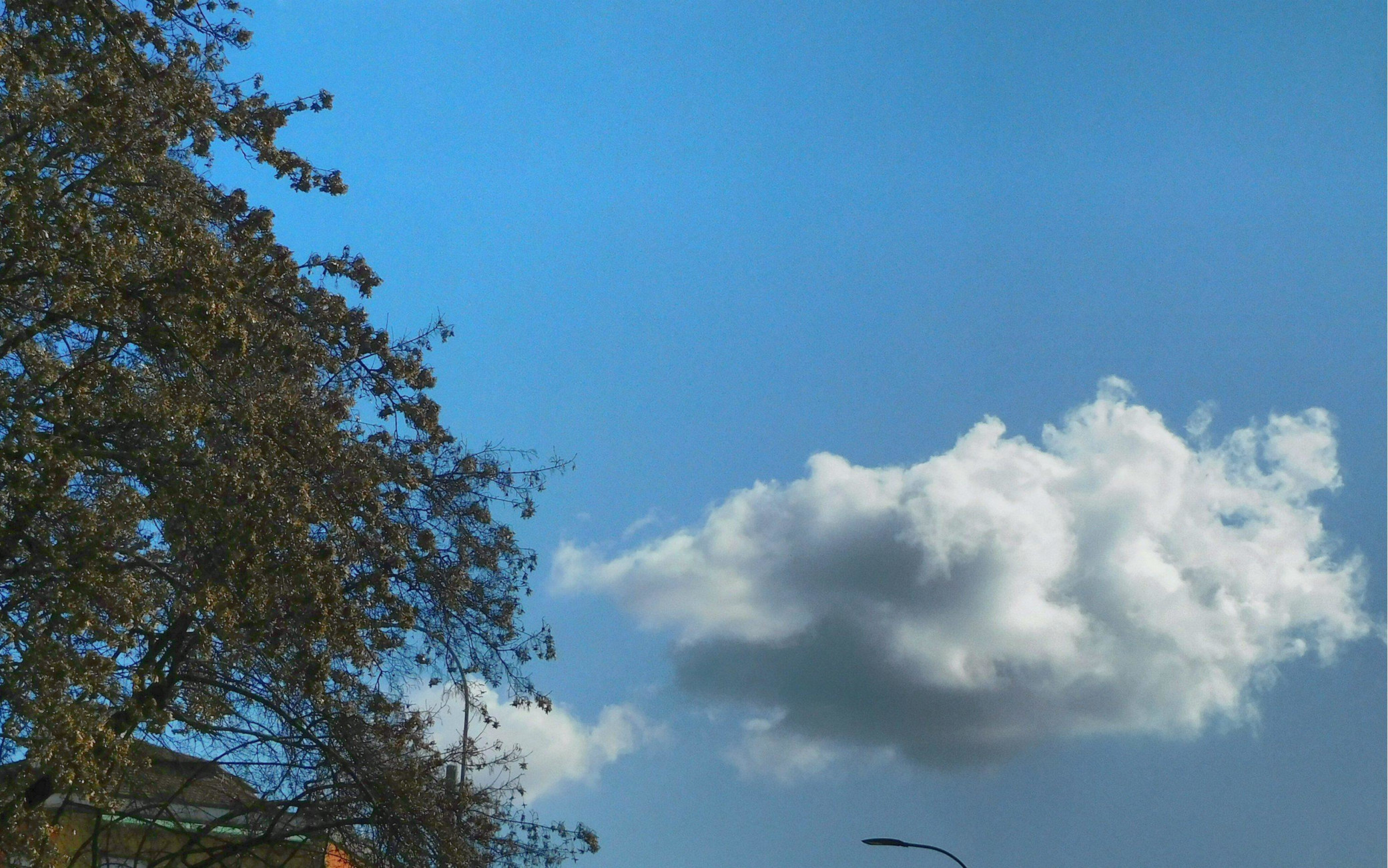 Previsioni meteo: dopo i temporali, torna l'estate con sole e ondate di ...