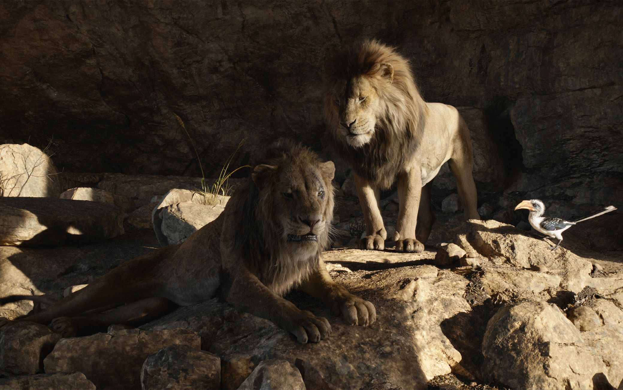 12 curiosità sul Re Leone