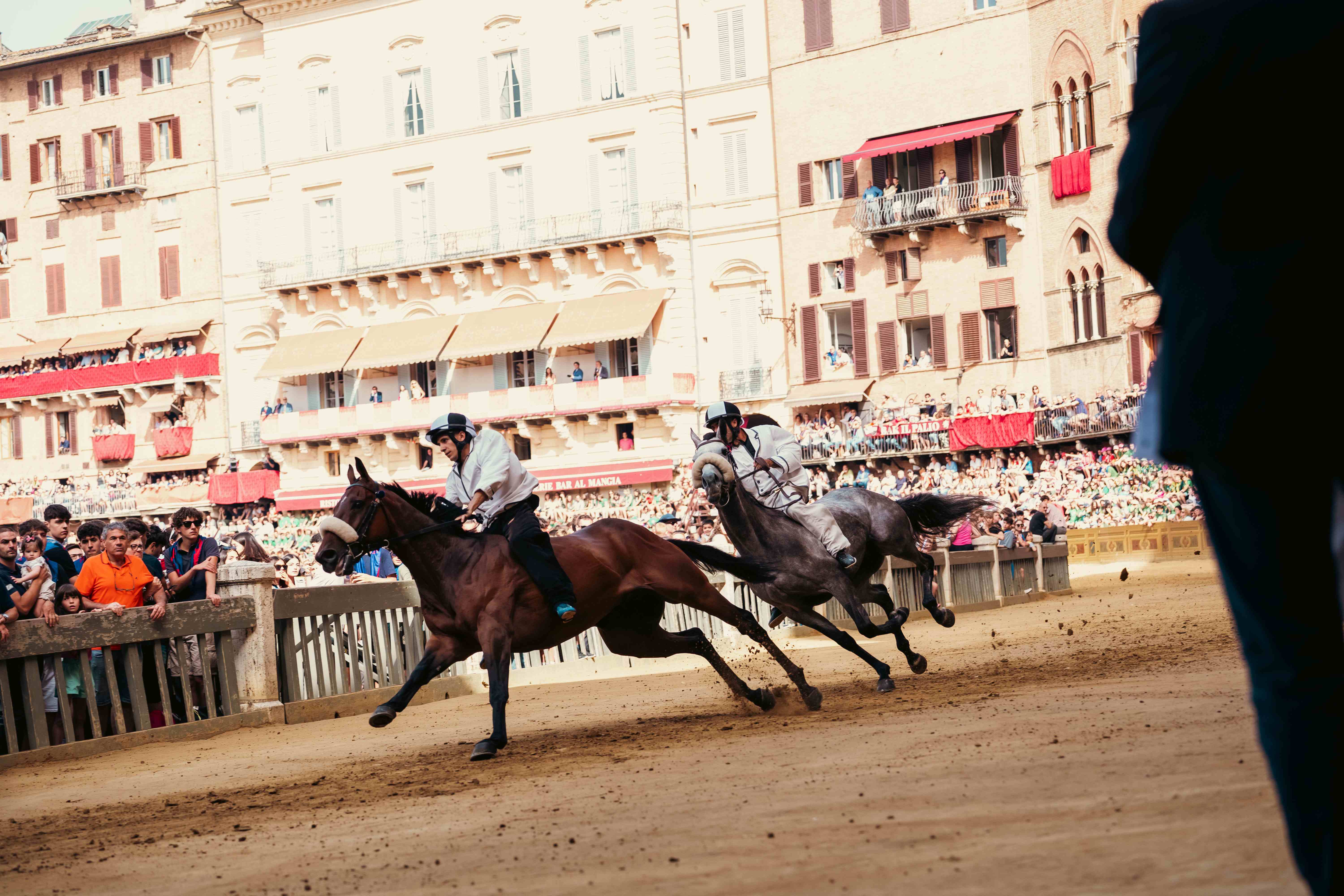 Palio di Siena dell'Assunta, la contrada della Lupa vince l’edizione ...