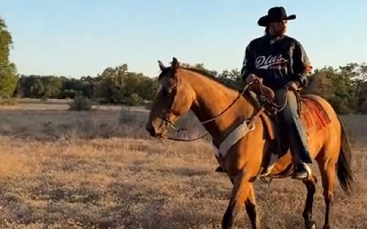 Hamilton cowboy: in sella a un cavallo ad Austin 2025! VIDEO | Sky Sport