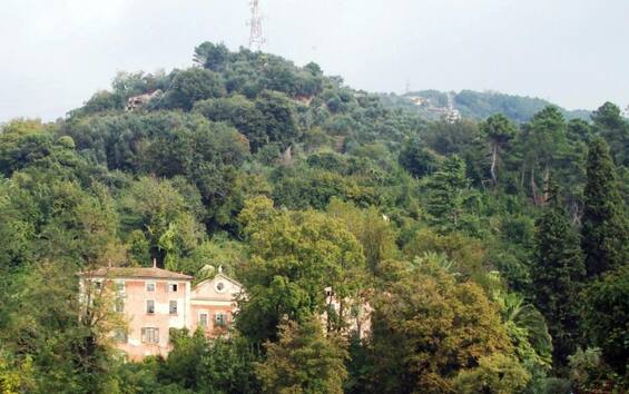 Contesa su villa storica a Massa: investe e uccide il fratello | Sky TG24