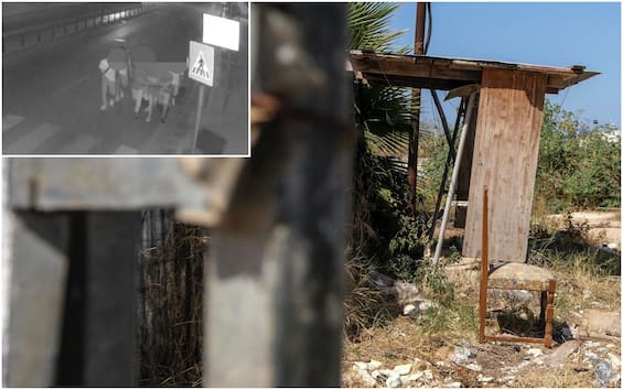 Stupro di gruppo a Palermo, la vittima minacciata e sequestrata per ritirare denuncia | Sky TG24