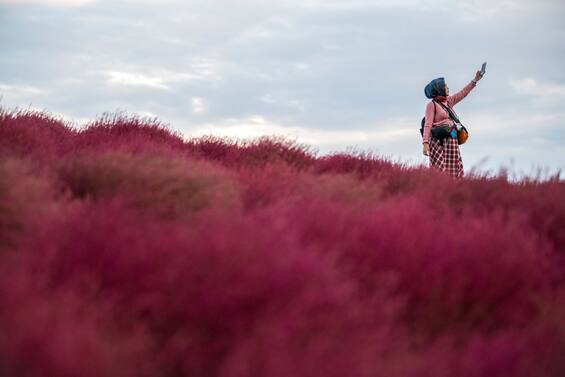 Pantone Viva Magenta, le mete nel mondo dove 'immergersi' nel colore ...