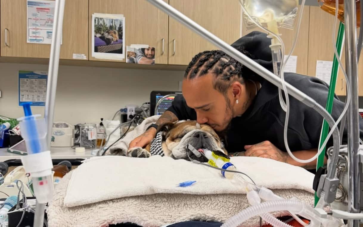 F1, Hamilton in ansia per il cane Roscoe: salta il test al Mugello ...