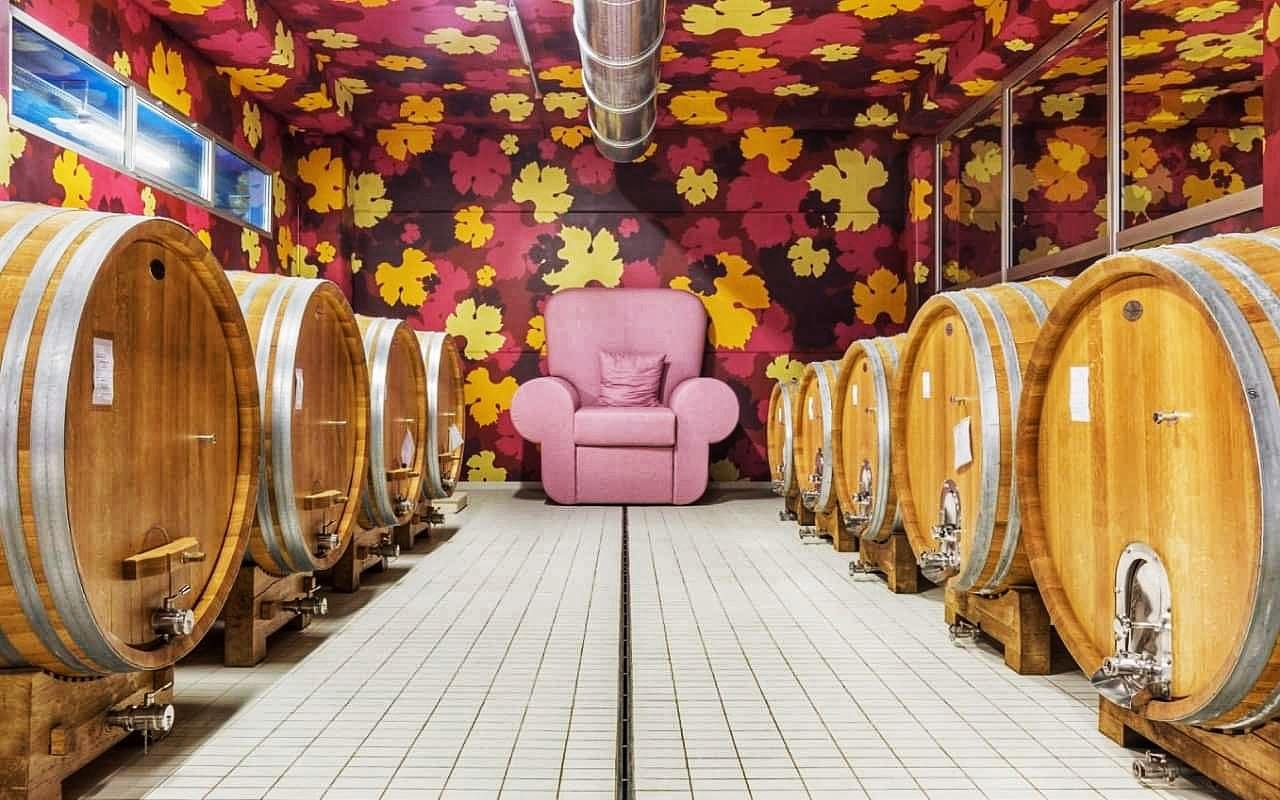 Le 30 cantine vinicole di design più belle d'Italia | Sky TG24