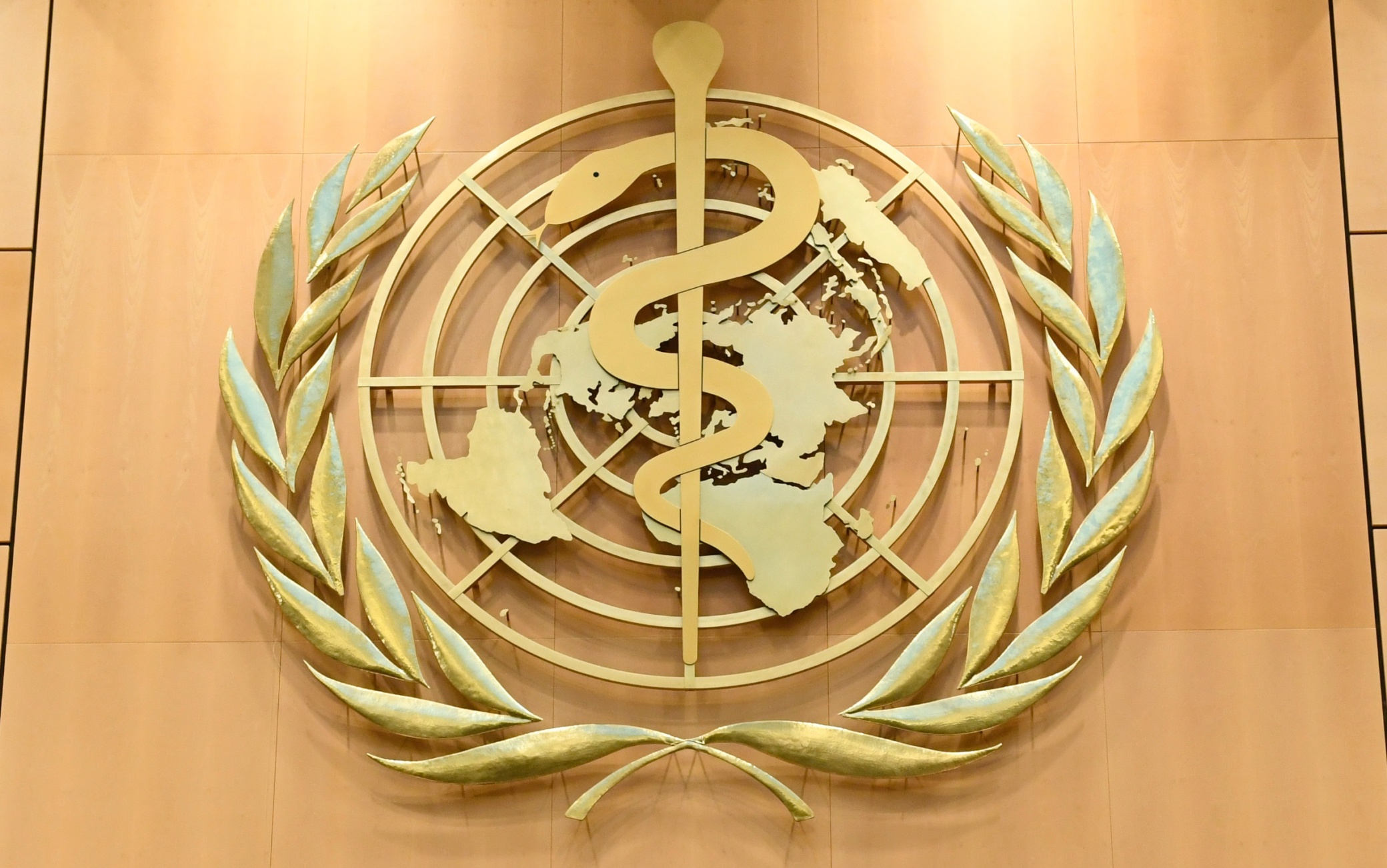 Covid, le linee guida Oms aggiornate, dall'isolamento alle mascherine ...