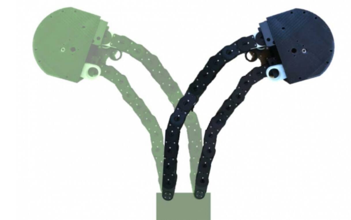 Growing Robot, l’automa flessibile simile a un germoglio: cresce come ...