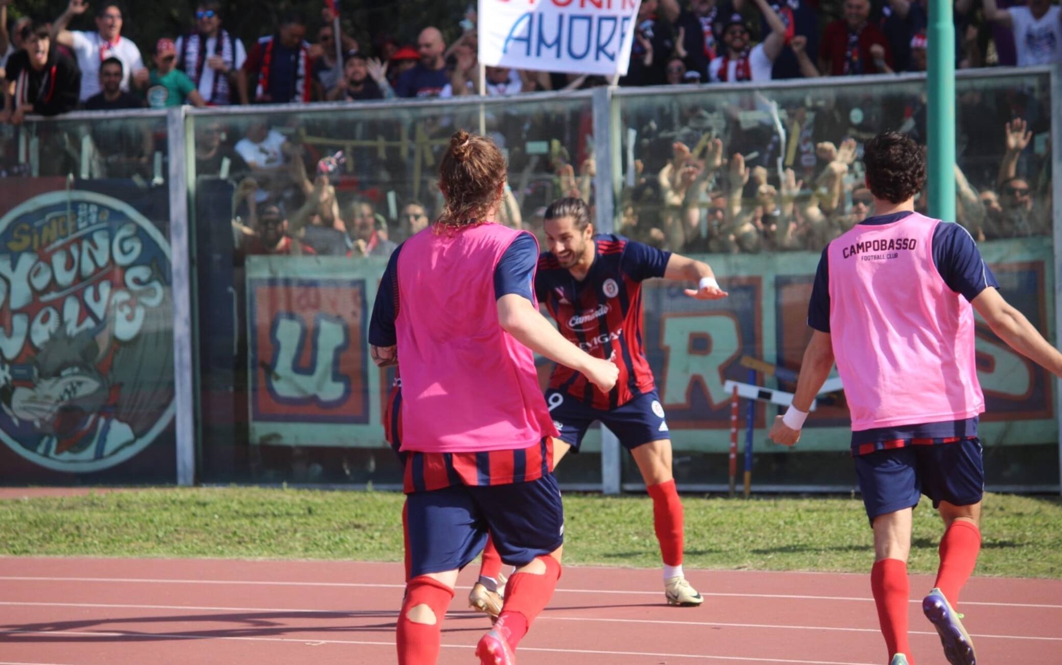 Campobasso promosso in Serie C: città in festa, la proprietà americana ...