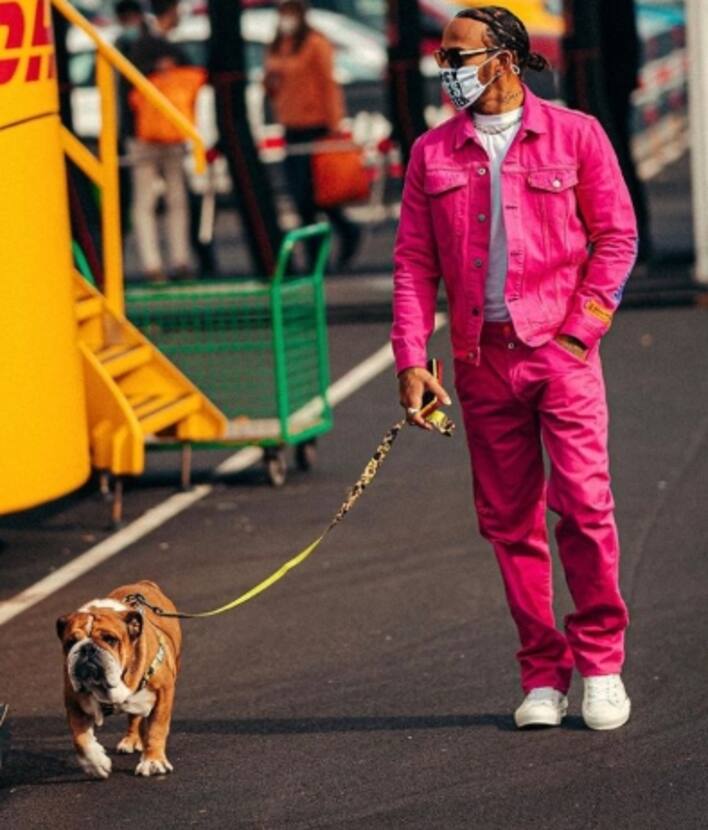 Formula 1, Hamilton: il suo bull dog Roscoe è una star sui social. FOTO ...