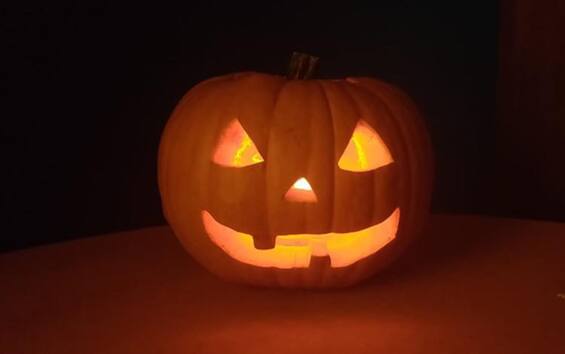 Halloween: Coldiretti Puglia, -15% zucche con clima pazzo | Sky TG24 Halloween: Coldiretti Puglia, -15% zucche con clima pazzo | Sky TG24