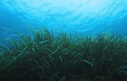 'Impact - Soluzioni per una crisi', l'approfondimento di Sky TG24