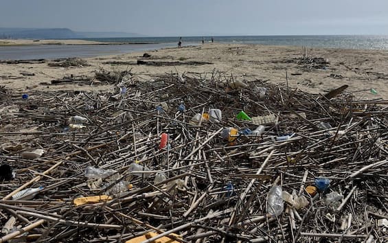 Legambiente: nel 2022 aumentano i reati ambientali lungo le coste ...