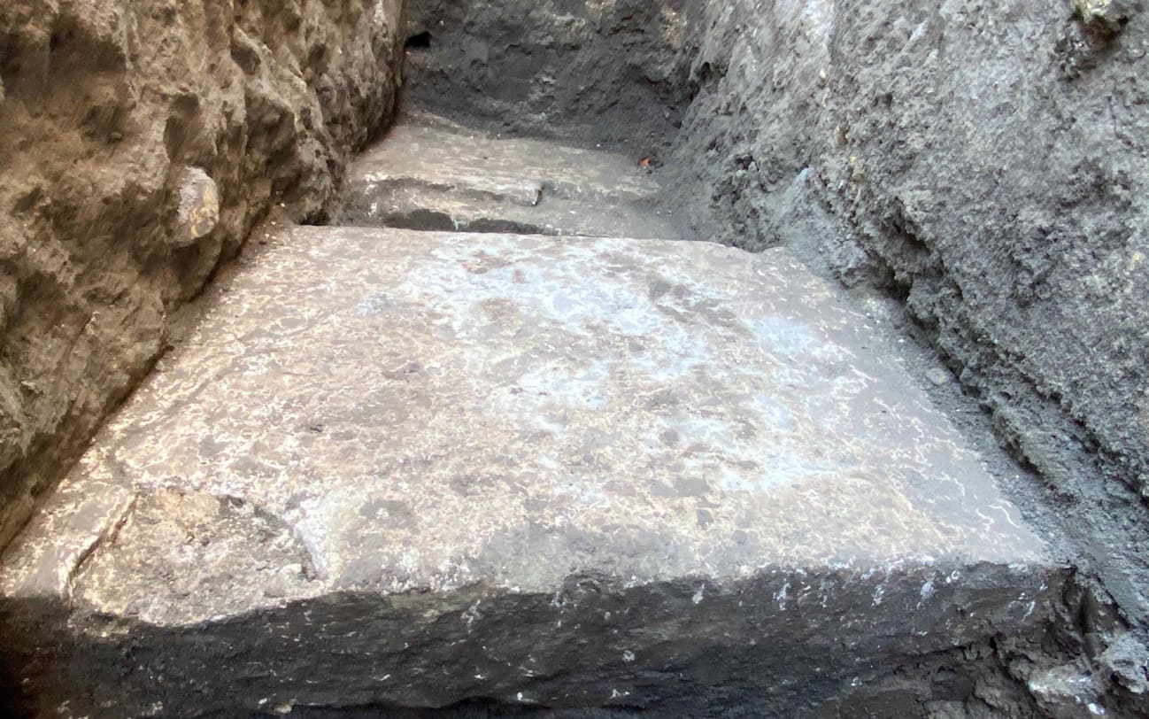 Silfio, pianta estinta dai tempi di Nerone ritrovata in Cappadocia ...