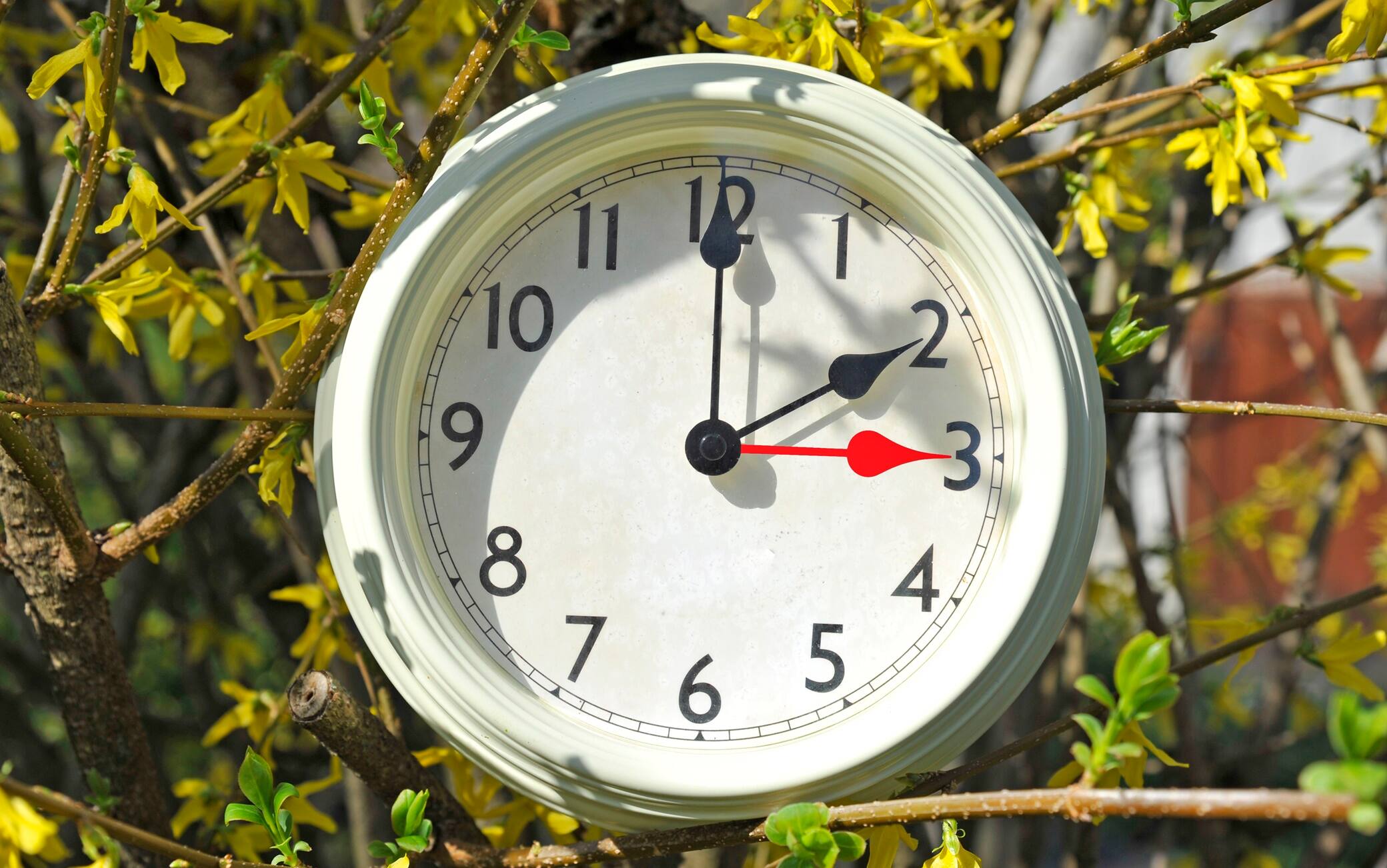 Ora legale, quando cambia e dove: come funziona e differenze con l'ora ...
