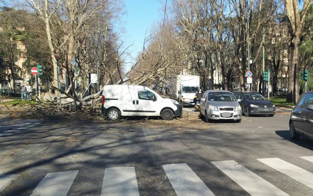 Raffiche di vento forte a Milano: cos'è il Föhn e da dove viene | Sky TG24
